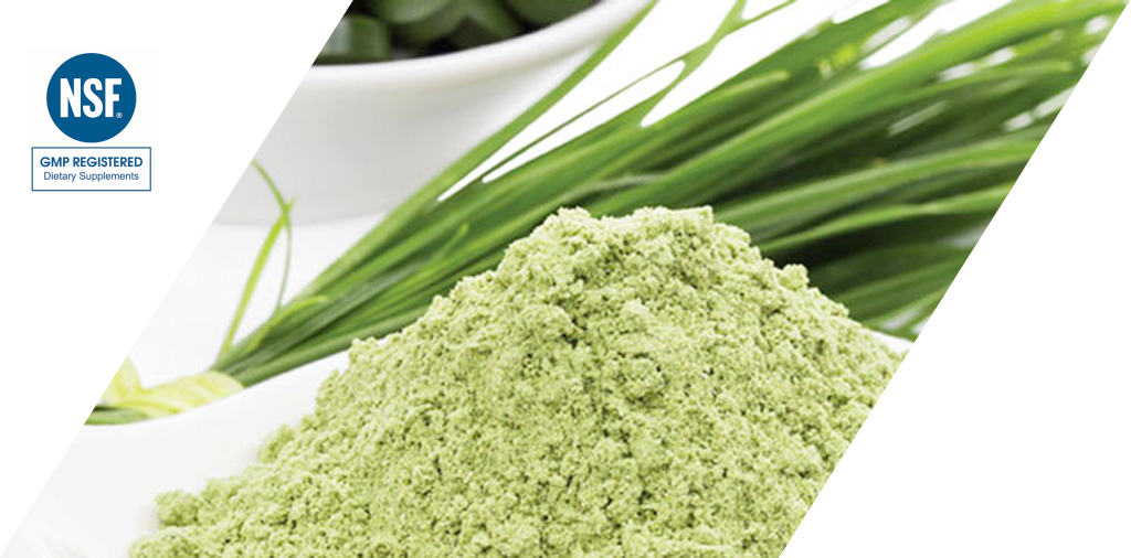 High Quality Ingredients you can trust - Part III