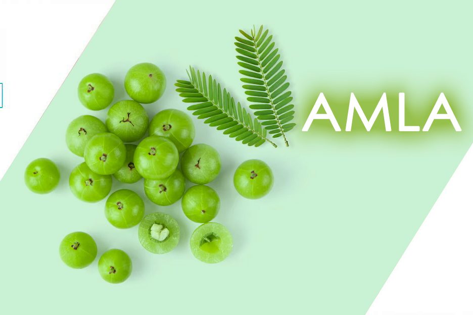 Best Nutritional Supplements & Custom Formulas - Freedom To Formulate ...